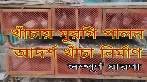 খাঁচায় মুরগি পালন পদ্ধতি। আদর্শ খাঁচা নির্মাণ Chicken Youtube
