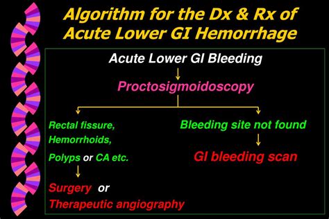 Ppt Gi Bleeding Scan Powerpoint Presentation Free Download Id4496296