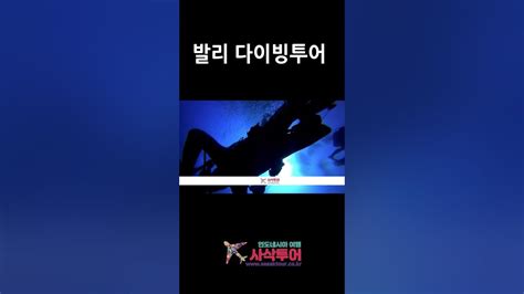 발리다이빙 보가 난파선 발리발리다이빙발리체험다이빙발리스킨스쿠버다이빙발리툴람벤다이빙발리툴람벤발리난파선다이빙발리난파선