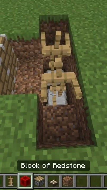 Minecraft Cabbage Farm Youtube