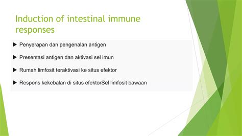 Mucosal Immune System Of The Gastrointestinal Tract Pptx