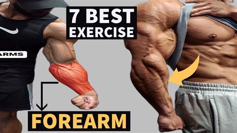 7 Best Big Forearm Exercises At Gym