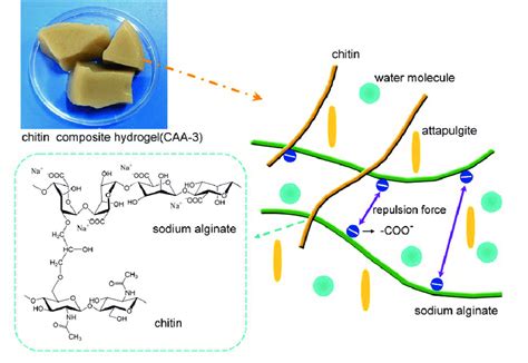 Schematic Depiction Of The Cross Linking Structure Of Composite