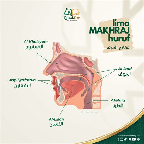 Kenali Lima Makhraj Huruf Hijaiyah