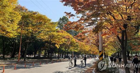 대구 두류공원 젊음의 거리 상권 활성화 대상에 선정