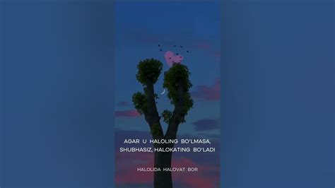 Esingizda Tursin Ismlarga Shortvideo Videolar Ruxshona Youtube