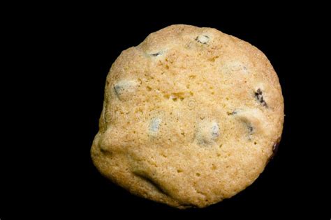 Homemade Bumpy Chocolate Chip Cookie Stock Image Image Of Chip