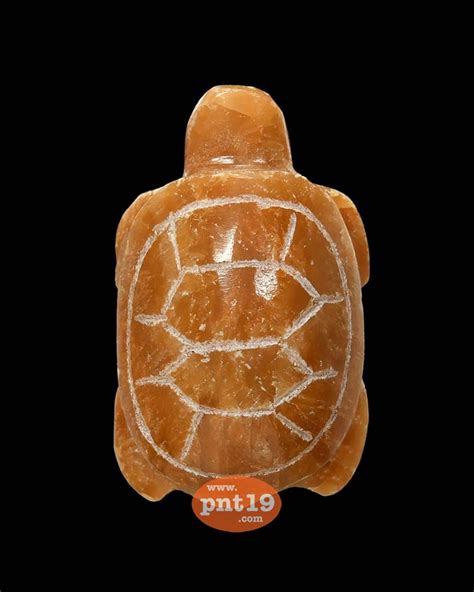 พญาเต่าเรือนเศรษฐี หินพระธาตุ ปี 2566 หลวงปู่แม่น สำนักสงฆ์เขาจันทร์ อำเภอศรีเทพ จังหวัดเพชรบูรณ์