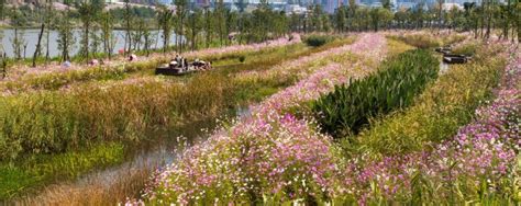 Minghu Wetland Park By Turenscape Pa Architecture Technology