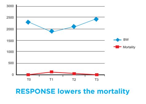Respiratory Infections In Poultry Response Noble Vetscience Llp