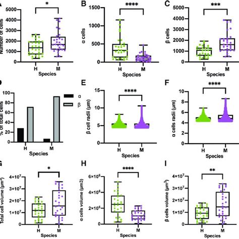 Cell To Cell Contacts In Human And Mice Islets Download Scientific