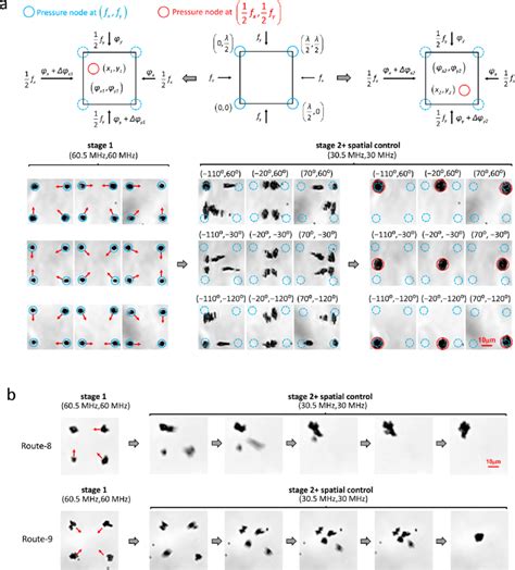 Schematic Illustration And Experimental Validation Of The Spatial