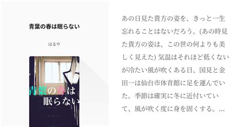 腐向けhq 青葉城西 青葉の春は眠らない はるやの小説 Pixiv