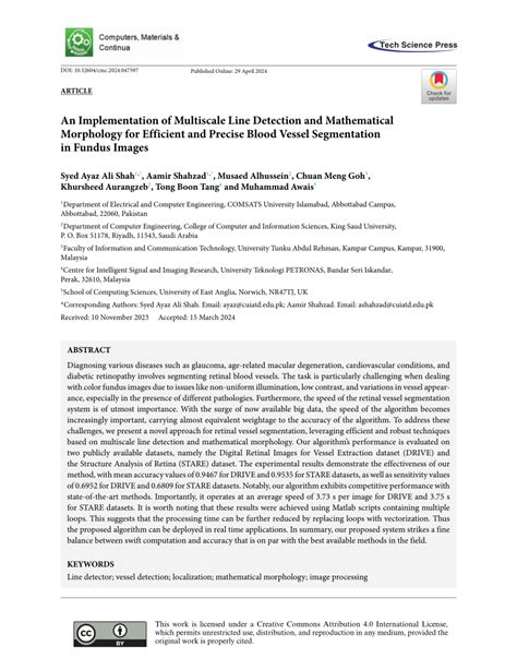 Pdf An Implementation Of Multiscale Line Detection And Mathematical Morphology For Efficient