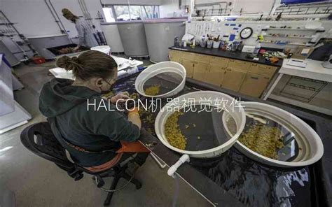 halcon机器视觉软件 halcon机器视觉算法原理与编程实战 机器视觉 视觉检测设备 3d视觉 缺陷检测
