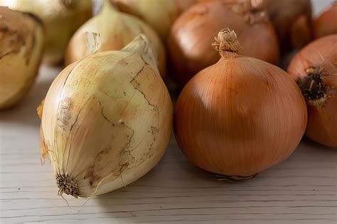 양파의 효능과 영양 성분 먹는 법 및 부작용