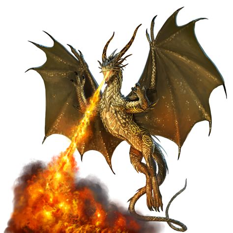 Gold Dragon Breathing Fire Pathfinder Pfrpg Dnd Dandd D20 Fantasy