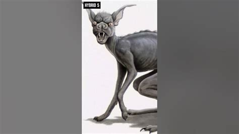 Chupacabra Folklore Legends And The Elusive Cryptid Chupacabra