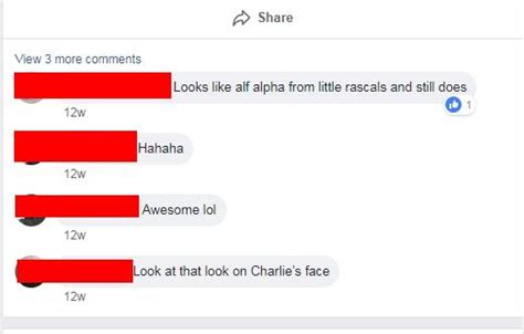 Found Some Alf Alpha Growing In The Wild Legit Rboneappletea