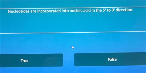 Solved Nucleotides Are Incorporated Into Nucleic Acid In The Chegg