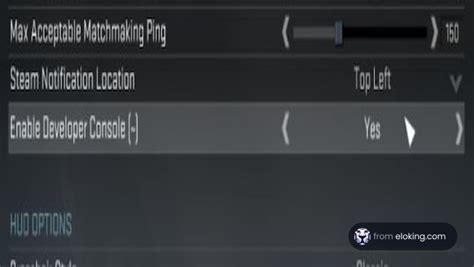 CS GO HUD Disappeared Fixed Eloking