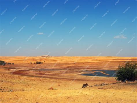 Premium Photo Drought In Continental Climate Decrease In Water Levels