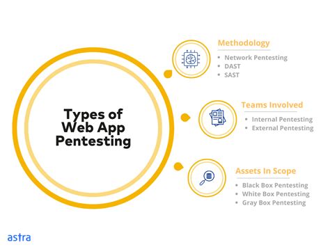 What Is Web Application Penetration Testing Types Tools