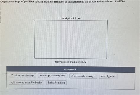 Solved Organize the steps of pre-RNA splicing from the | Chegg.com