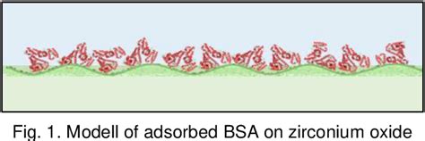 Figure 1 From Spectroscopic Ellipsometry Of Adsorbed Proteins On