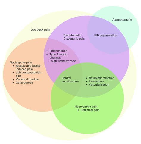 Classification Of Specific LBP With An Emphasis On Pain Origin Download Scientific Diagram