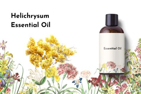 Essential Oils For Varicose Veins Arupe