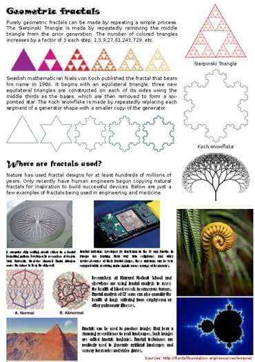 Fractals Understanding The Patterns Of Nature Reading Handout By