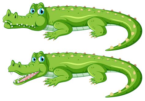 Set Of Crocodile Character 520010 Vector Art At Vecteezy