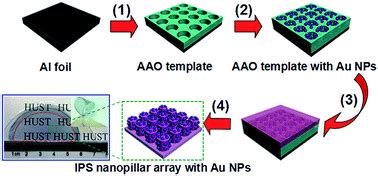 Polymer Nanopillar Array With Au Nanoparticle Inlays As A Flexible And