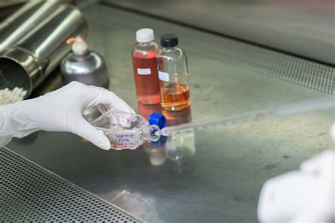 Biosafety Background Images Hd Pictures And Wallpaper For Free