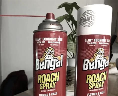 Bengal Roach Spray Review A Users Review