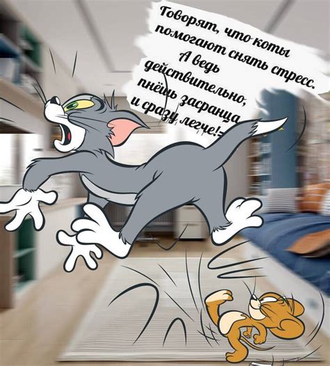 Как снять стресс Пикабу