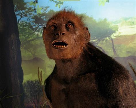 Sahelanthropus Tchadensis Bipedal