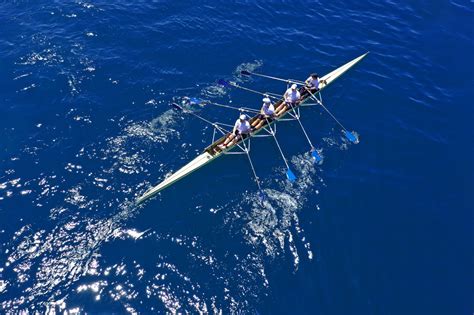 Rowing Team Member Crossword At Virginia Morgan Blog