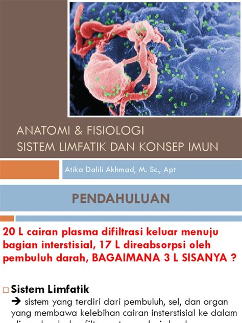 Anatomi Fisiologi Sistem Limfatik Pdf