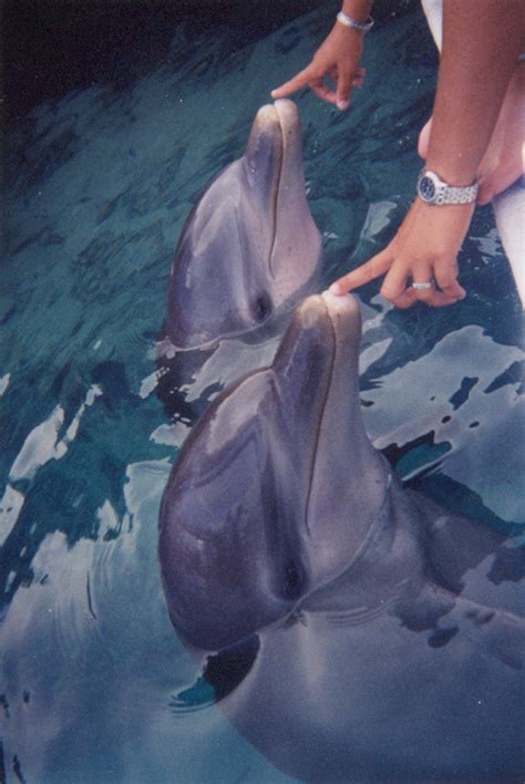 Doublemint Twins By Dolphingirl