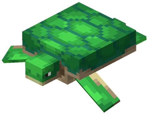 Dungeonsturtle Minecraft Wiki