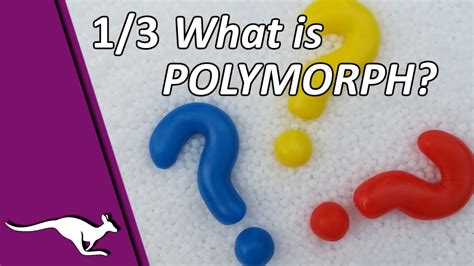 What Is Polymorph Instamorph Polydoh Polymorph 13 Youtube
