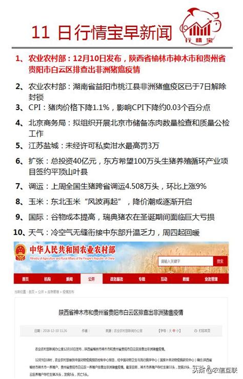 11日畜牧早新聞：穀物成本提高，瑞典豬農在聖誕期間面臨巨大虧損 每日頭條