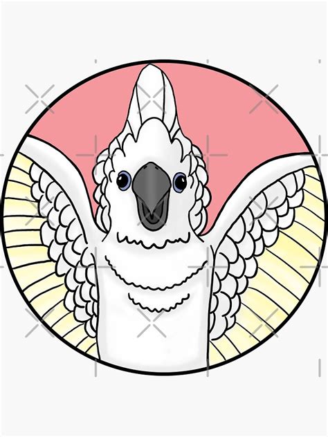 Funny Screaming Umbrella Cockatoo Parrot Sticker For Sale By Koalaslifestyle Redbubble