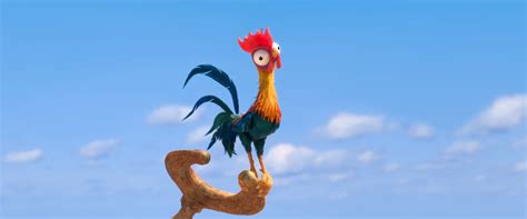 Heihei Moana Wikia Fandom Powered By Wikia