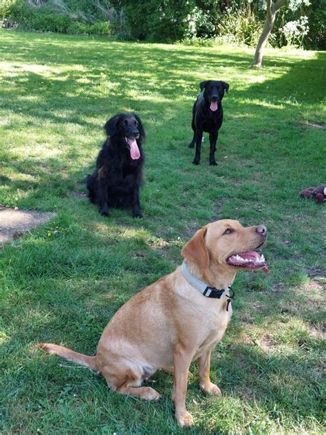 Luna Had Her Usual Chrisa Blipfoto