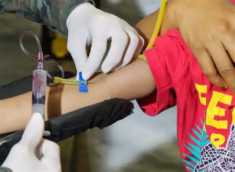 Dengue estados e o DF têm queda ou estabilidade no número de casos Novojornal