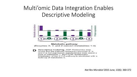 A Presentation By Regina Strelecki Ppt Download