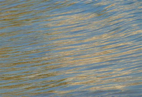 Ocean Ripples Background Free Stock Photo Public Domain Pictures